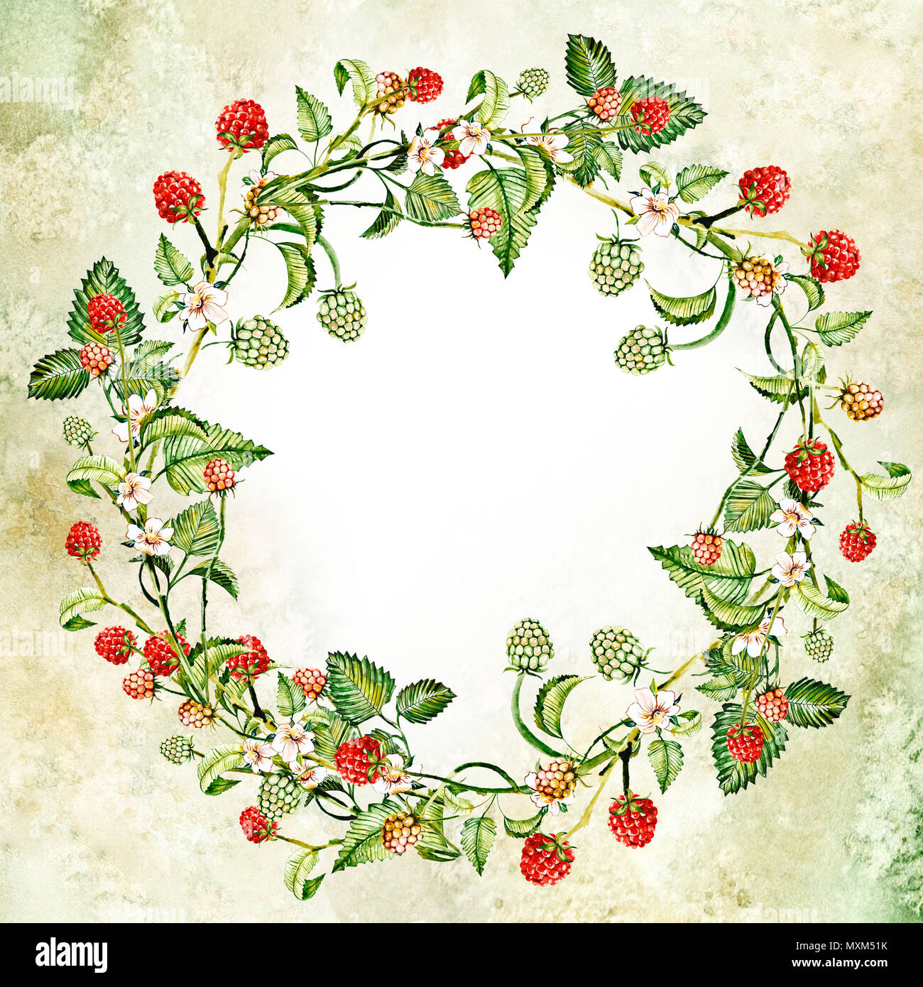 Composition of raspberry berries. Watercolor drawing handmade. Template ...