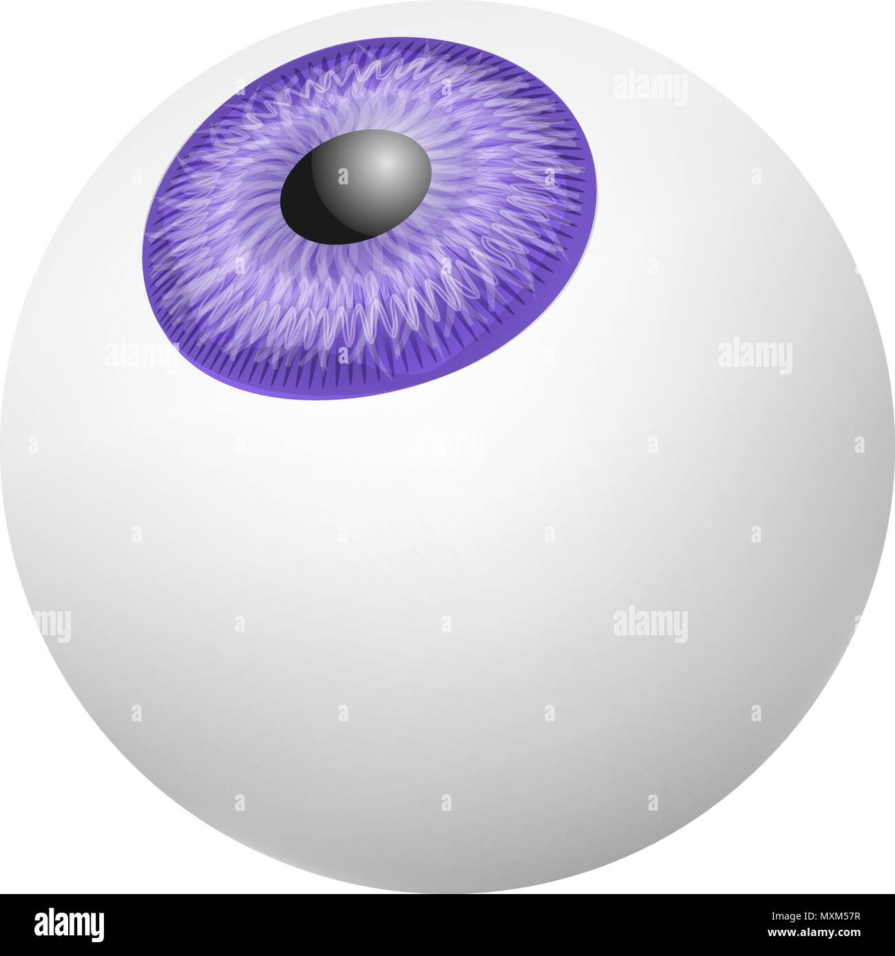 Vector realistic human eyeball eye with bright blue hi-res stock ...
