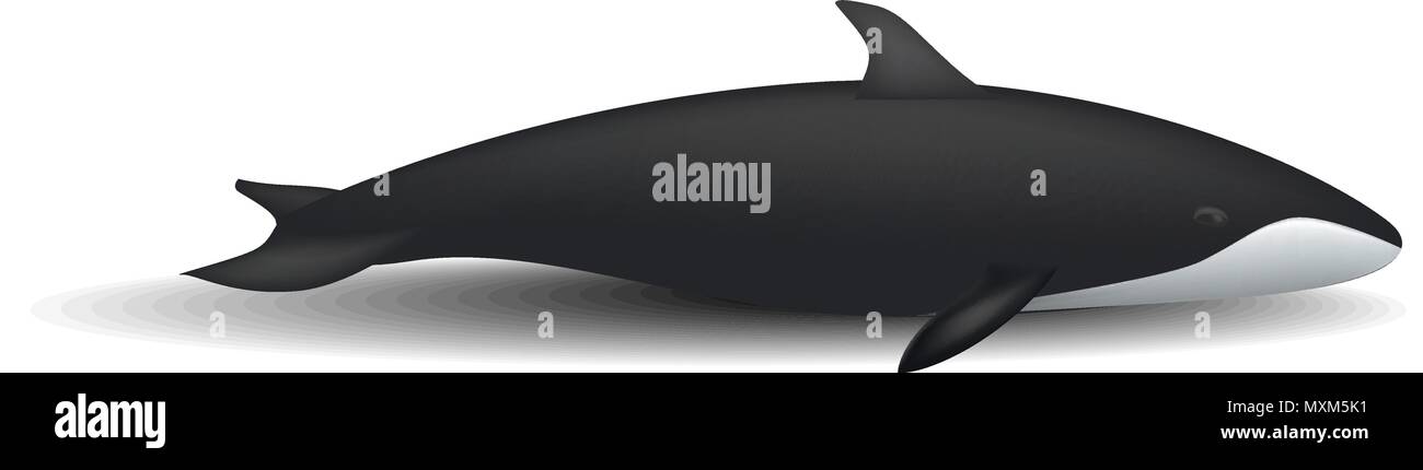 Orca whale mockup, realistic style Stock Vector Image & Art - Alamy