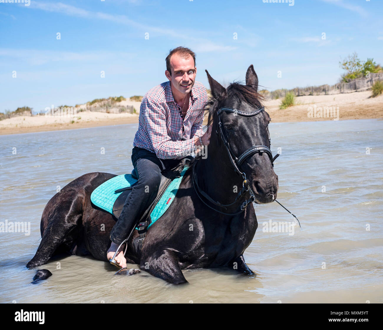 riding man and his stallion on the beach Stock Photo - Alamy