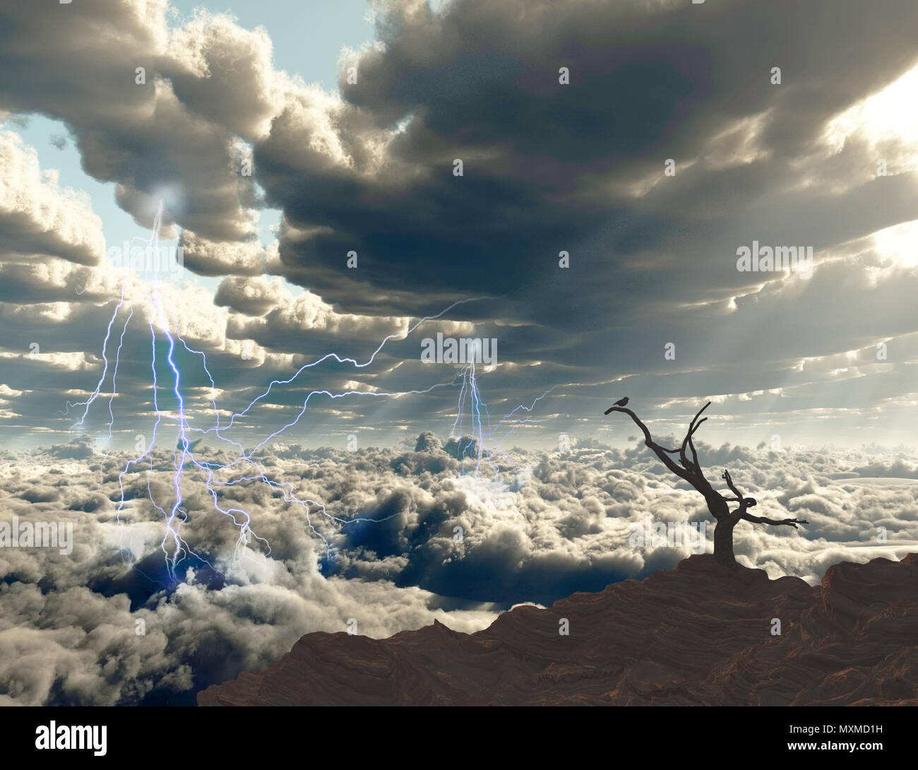 Lightning on a sunrise. Bird on a dry branch Stock Photo - Alamy