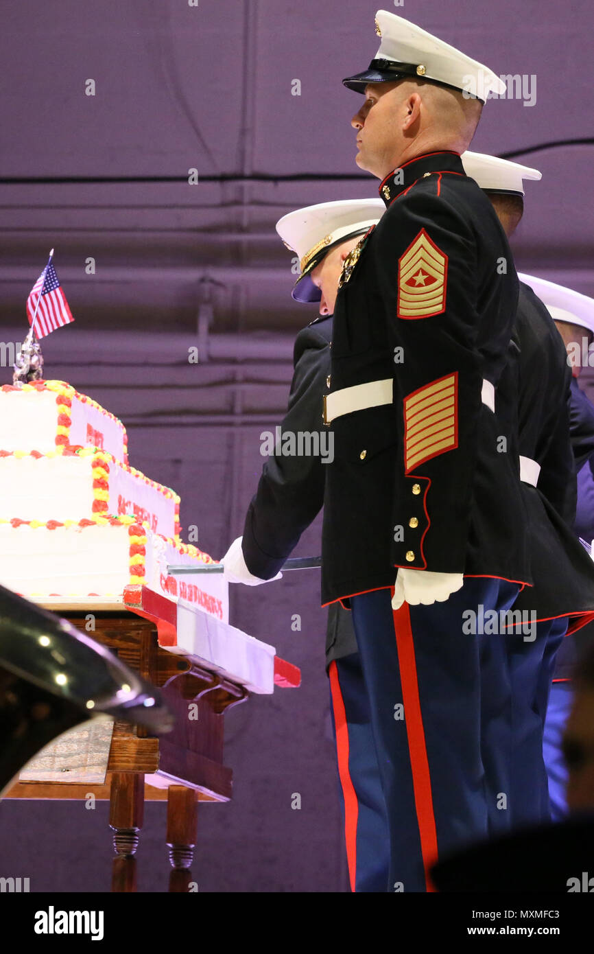 Col. Todd Ferry cuts the birthday cake during the annual Historic ...