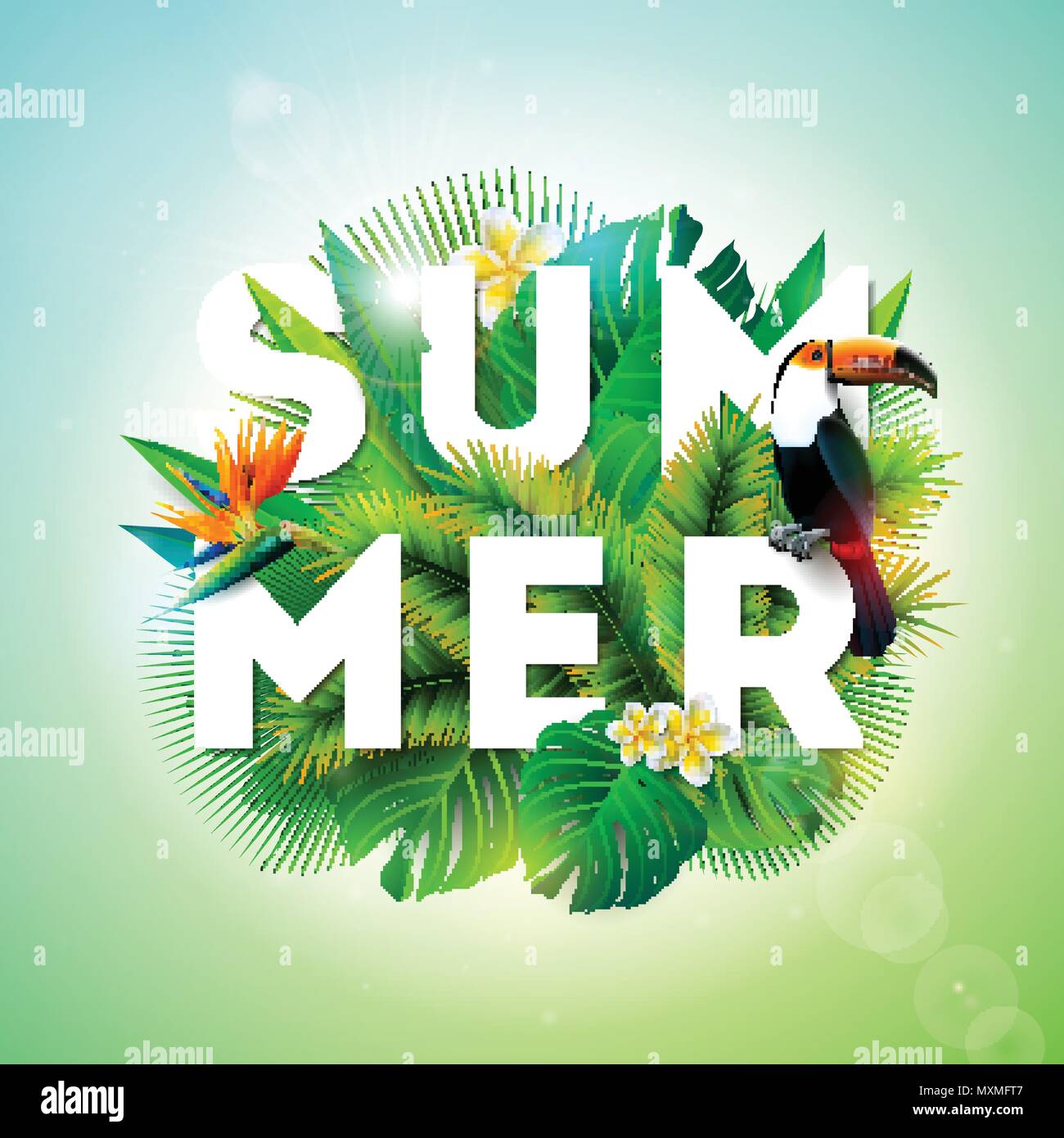 Summer illustration with toucan bird and parrots beak flower on ...