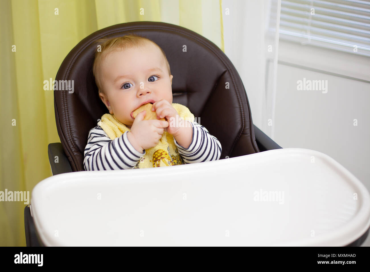 little baby boy sitting in chair for feeding and eating special biscuit ...