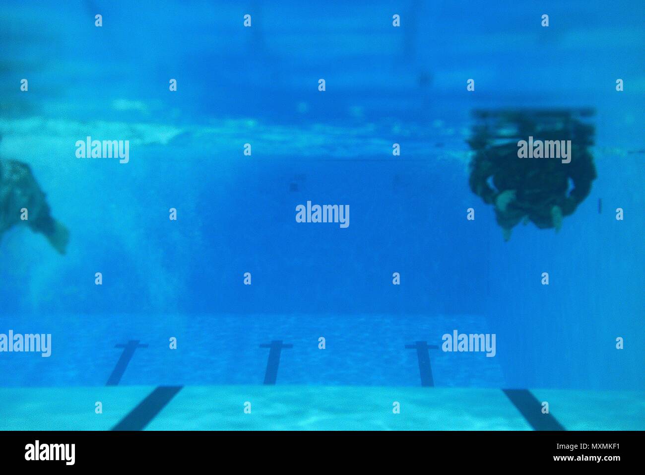 U.S. Air Force Airmen, U.S. Army Soldiers and U.S. Navy Sailors dive ...