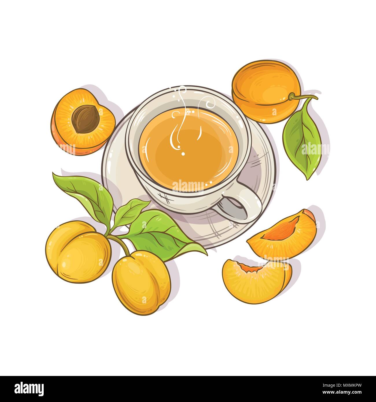 Apricot cup Stock Vector Images - Alamy