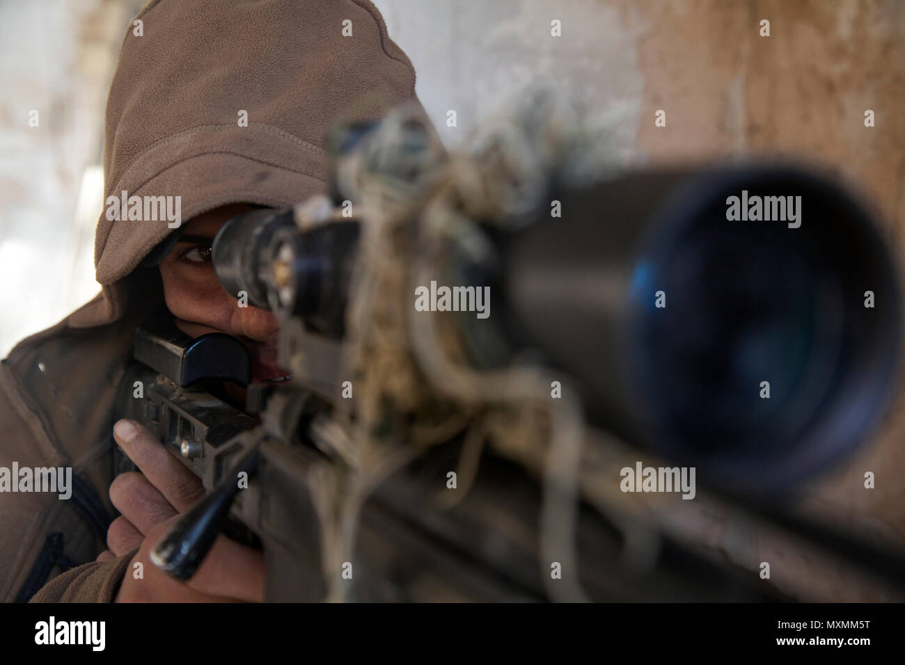 An Iraqi soldier takes aim with a T-5000 sniper rifle during stalking ...