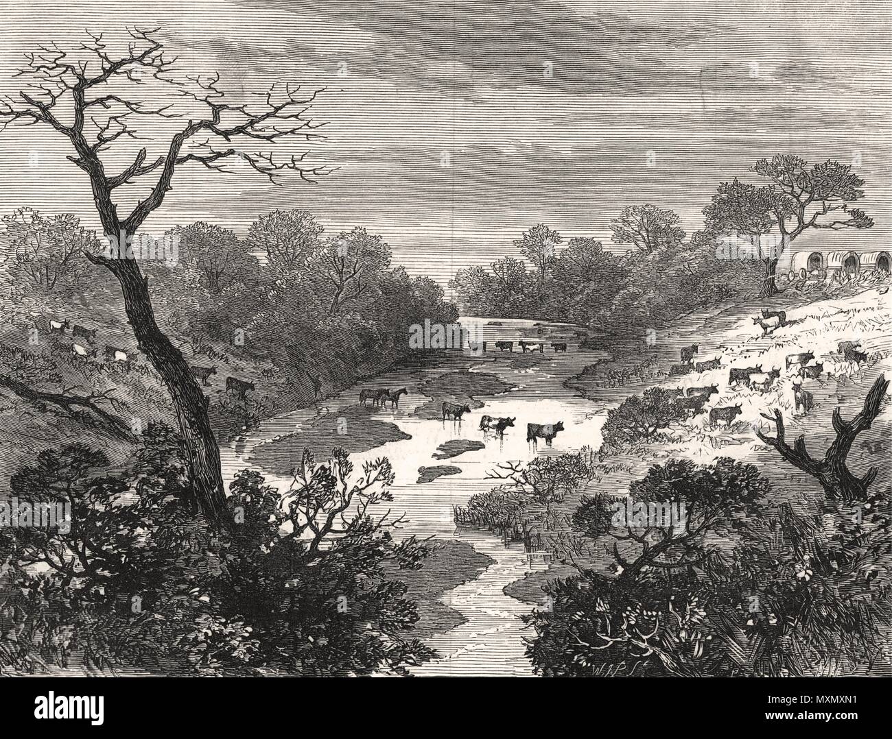 Transvaal republic hi-res stock photography and images - Alamy