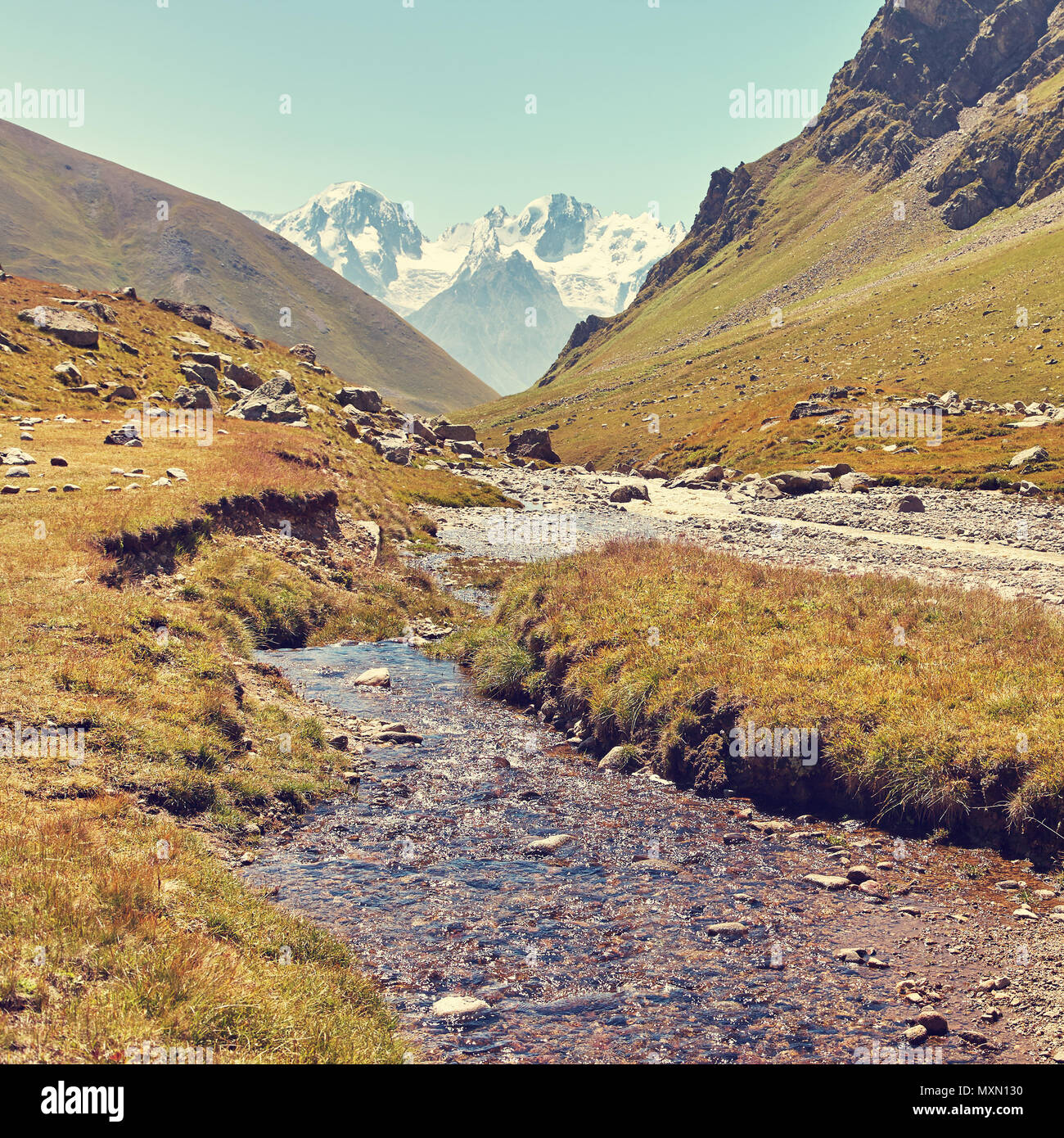 scenic alpine landscape with mountain and river. natural mountain ...