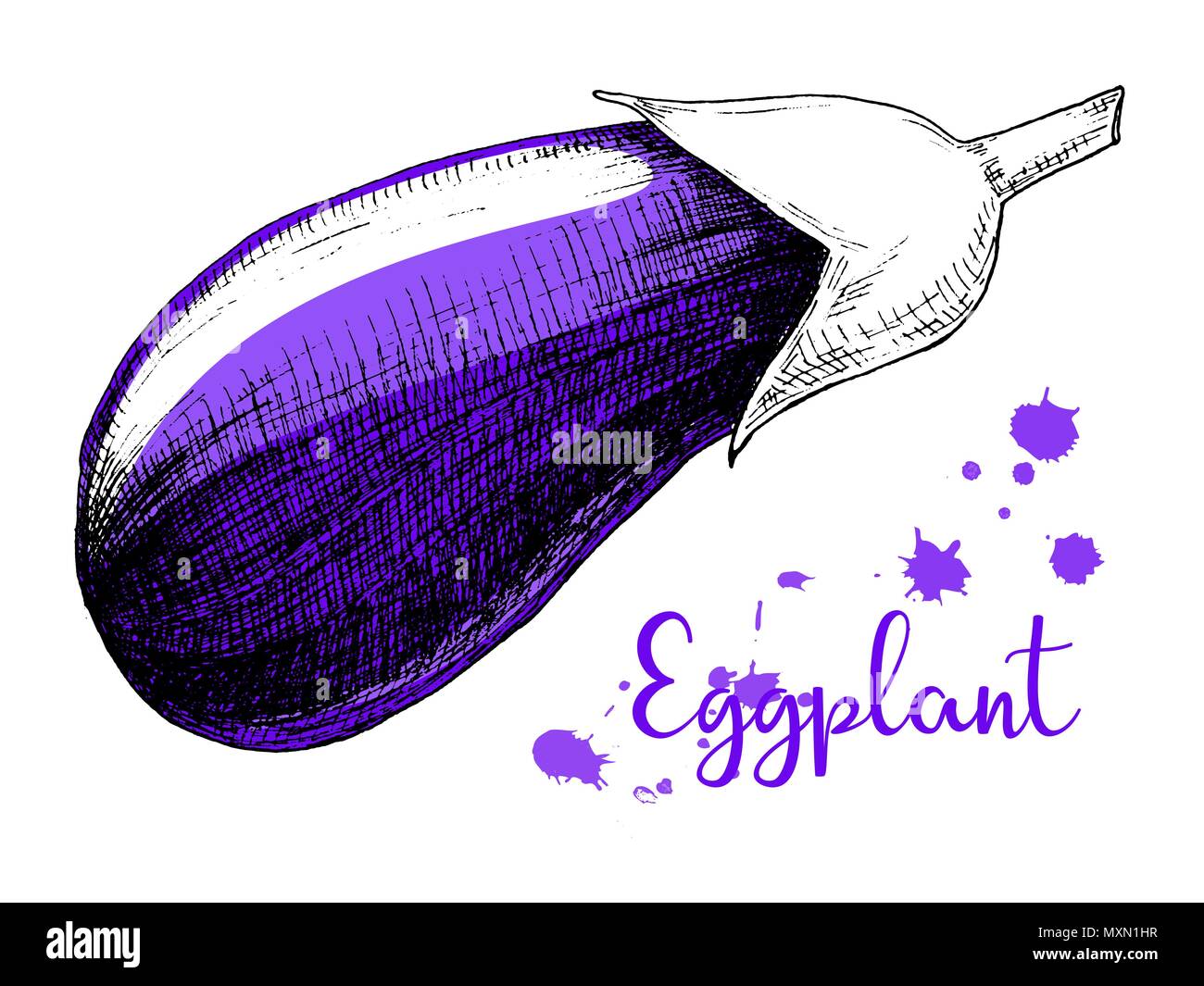 Eggplant organic aubergine sketch Cut Out Stock Images & Pictures - Alamy