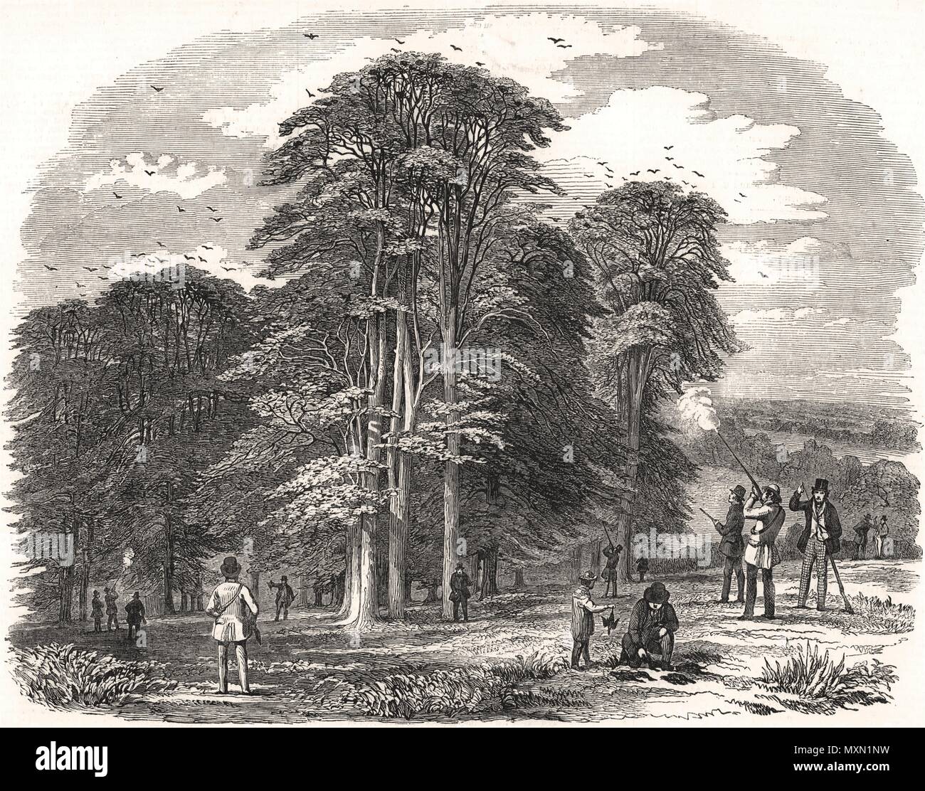 Rook shooting hi-res stock photography and images - Alamy