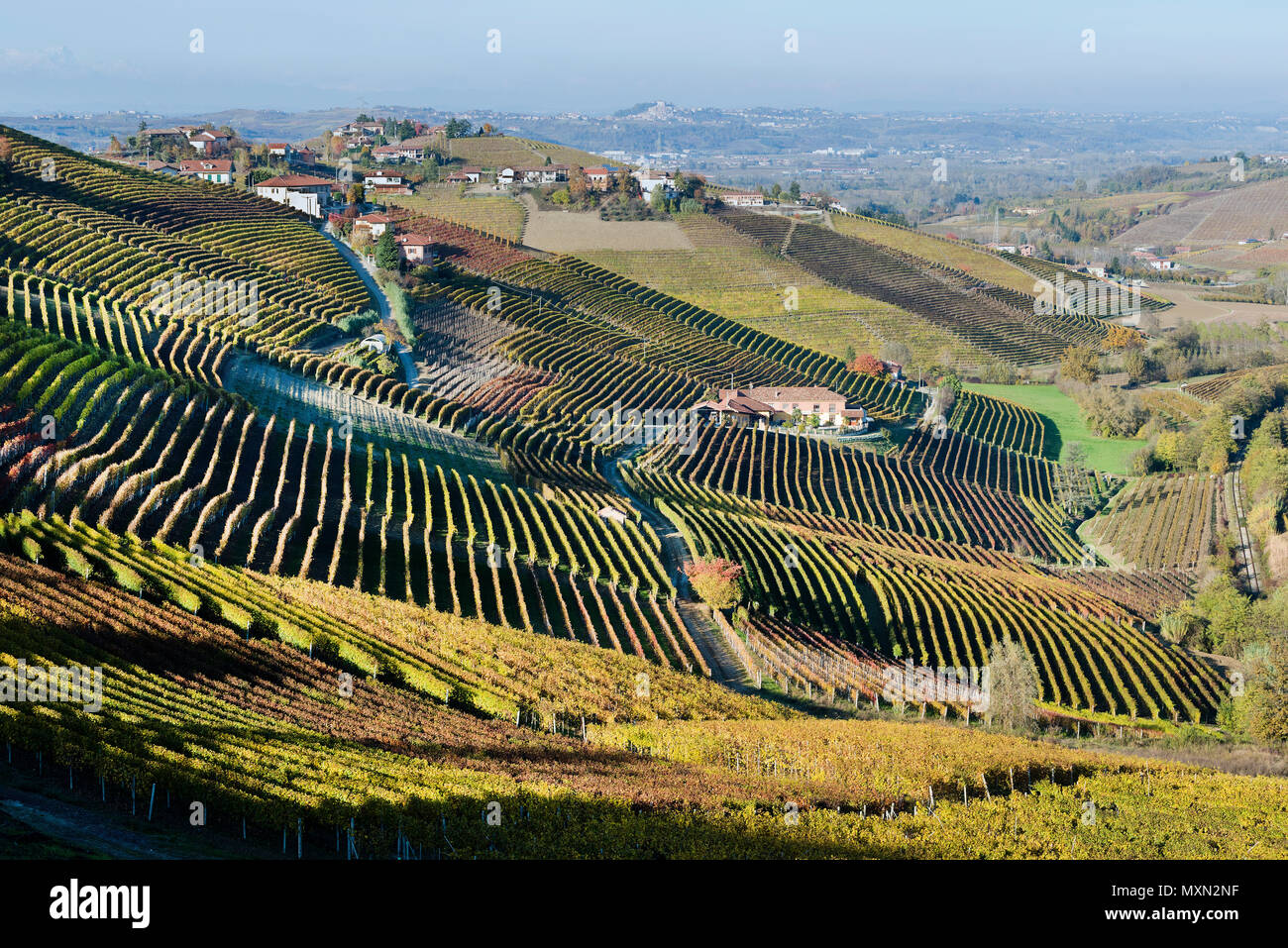 Italy, panorama of vineyards of Piedmont: Langhe-Roero and Monferrato ...