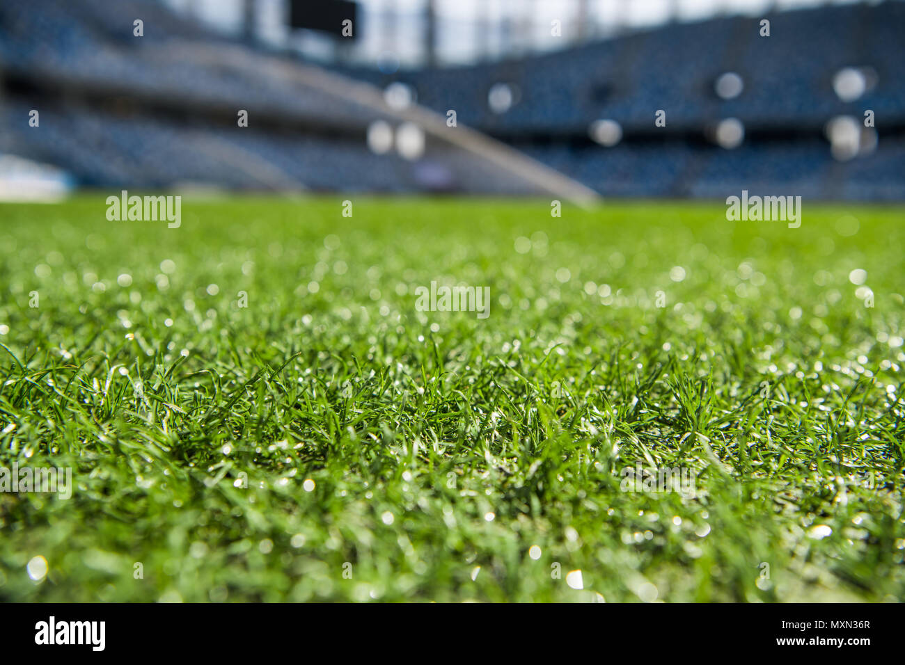 Soccer playfield hi-res stock photography and images - Alamy