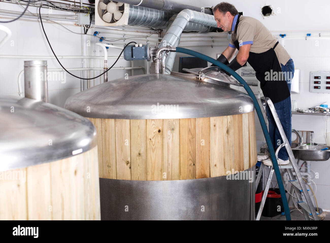 Adult brewer is standing with tube near reservoir for beer in the ...