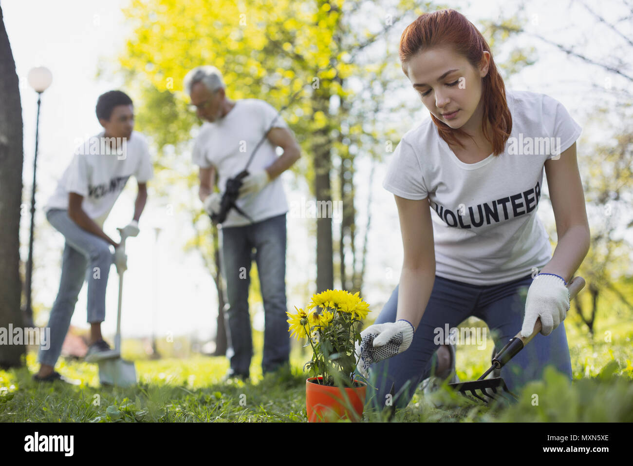 Focused female volunteer planting flower Stock Photo - Alamy