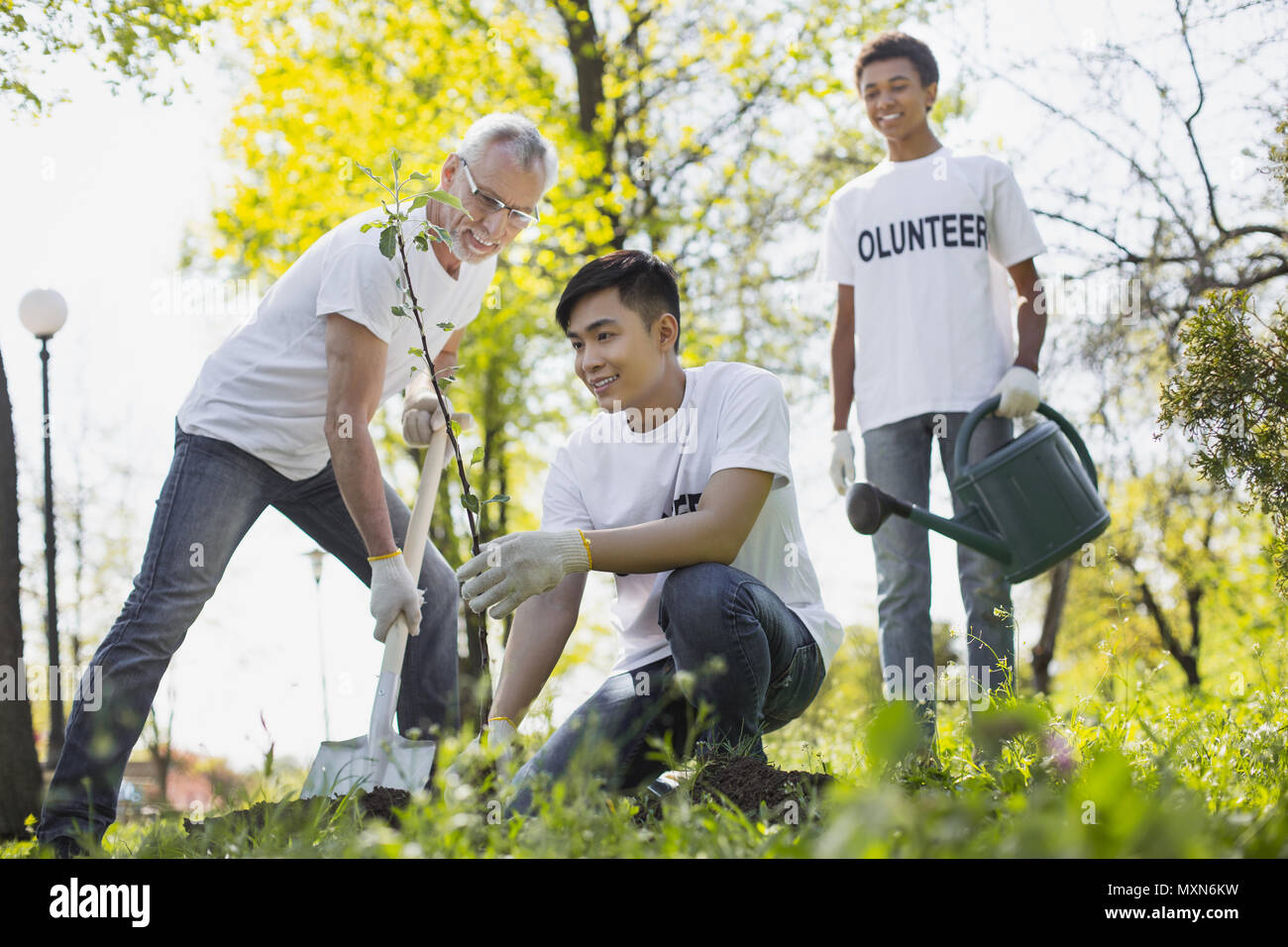 Positive three volunteers placing tree Stock Photo - Alamy