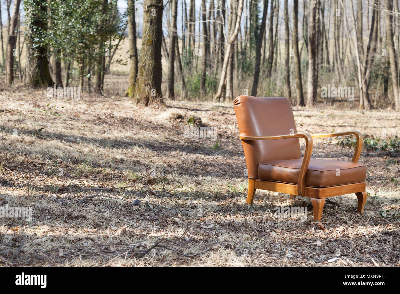 Chair armchair hi-res stock photography and images - Alamy