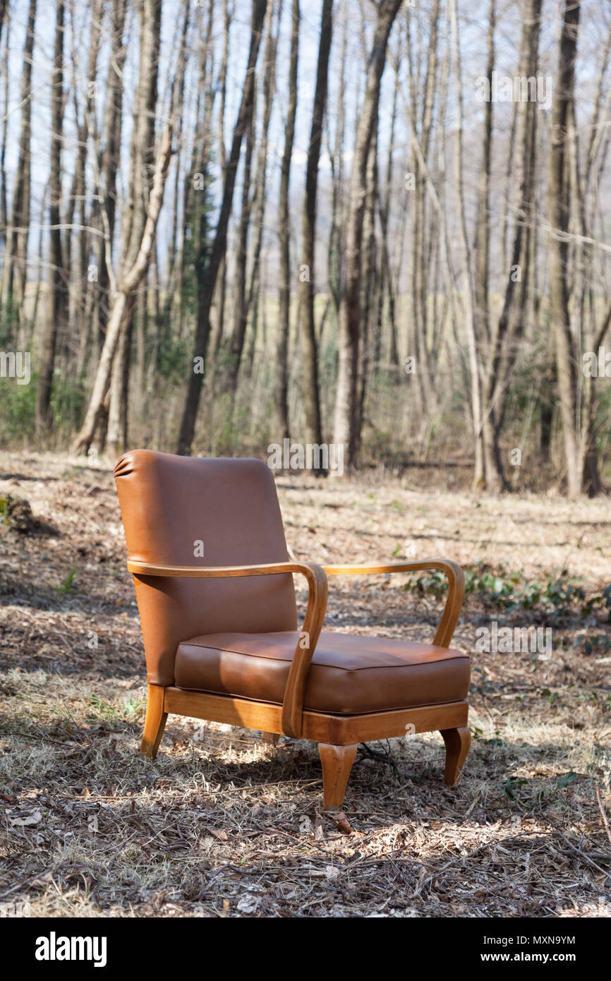 Vintage armchair in an autumn forest, scene Stock Photo - Alamy