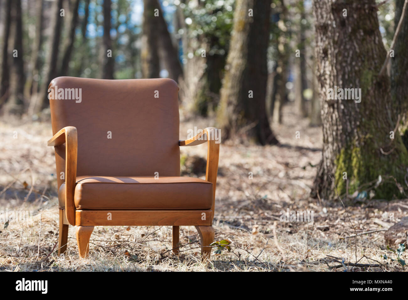 Vintage armchair in an autumn forest, scene Stock Photo - Alamy