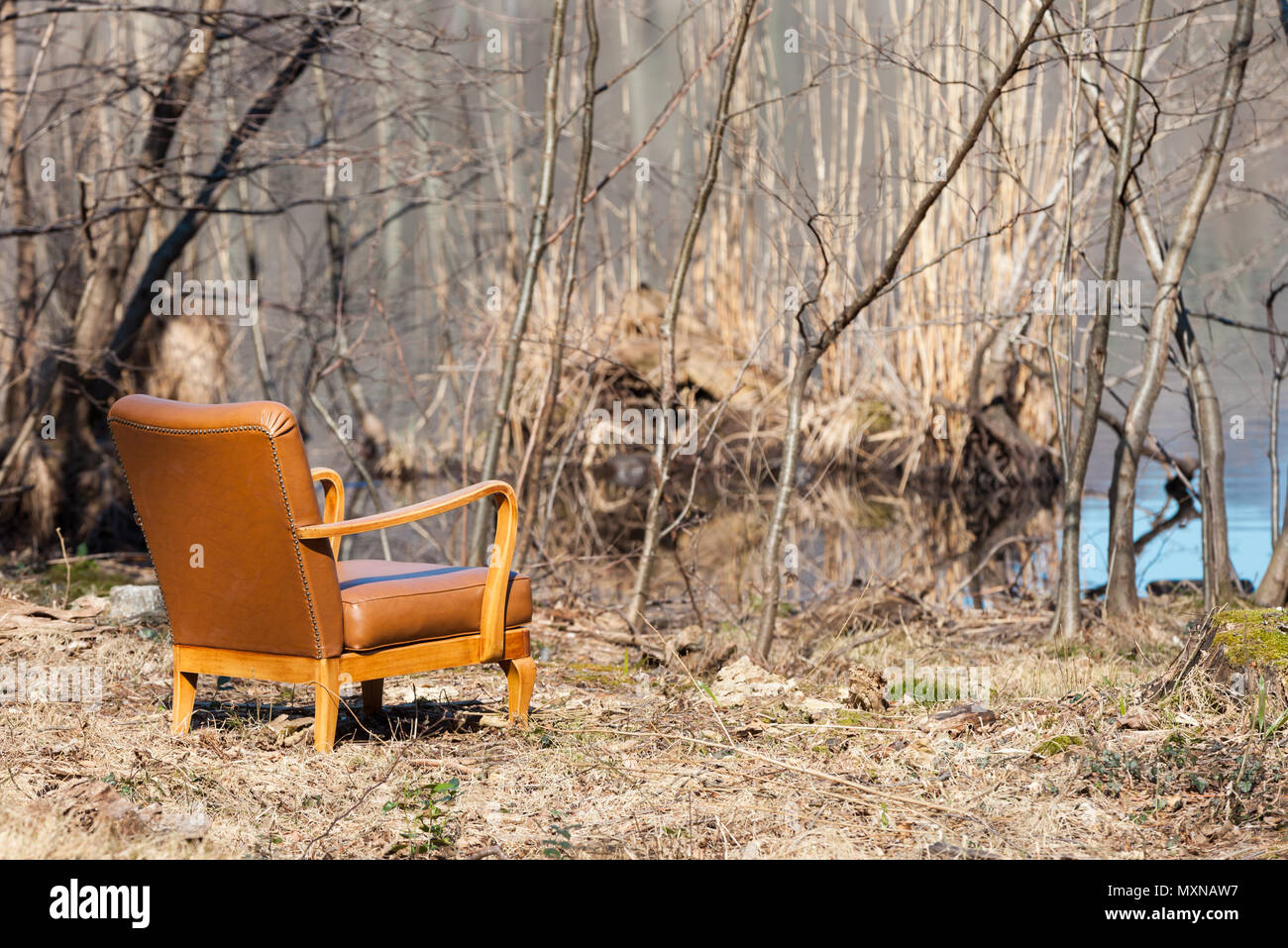 Vintage armchair in an autumn forest, scene Stock Photo - Alamy