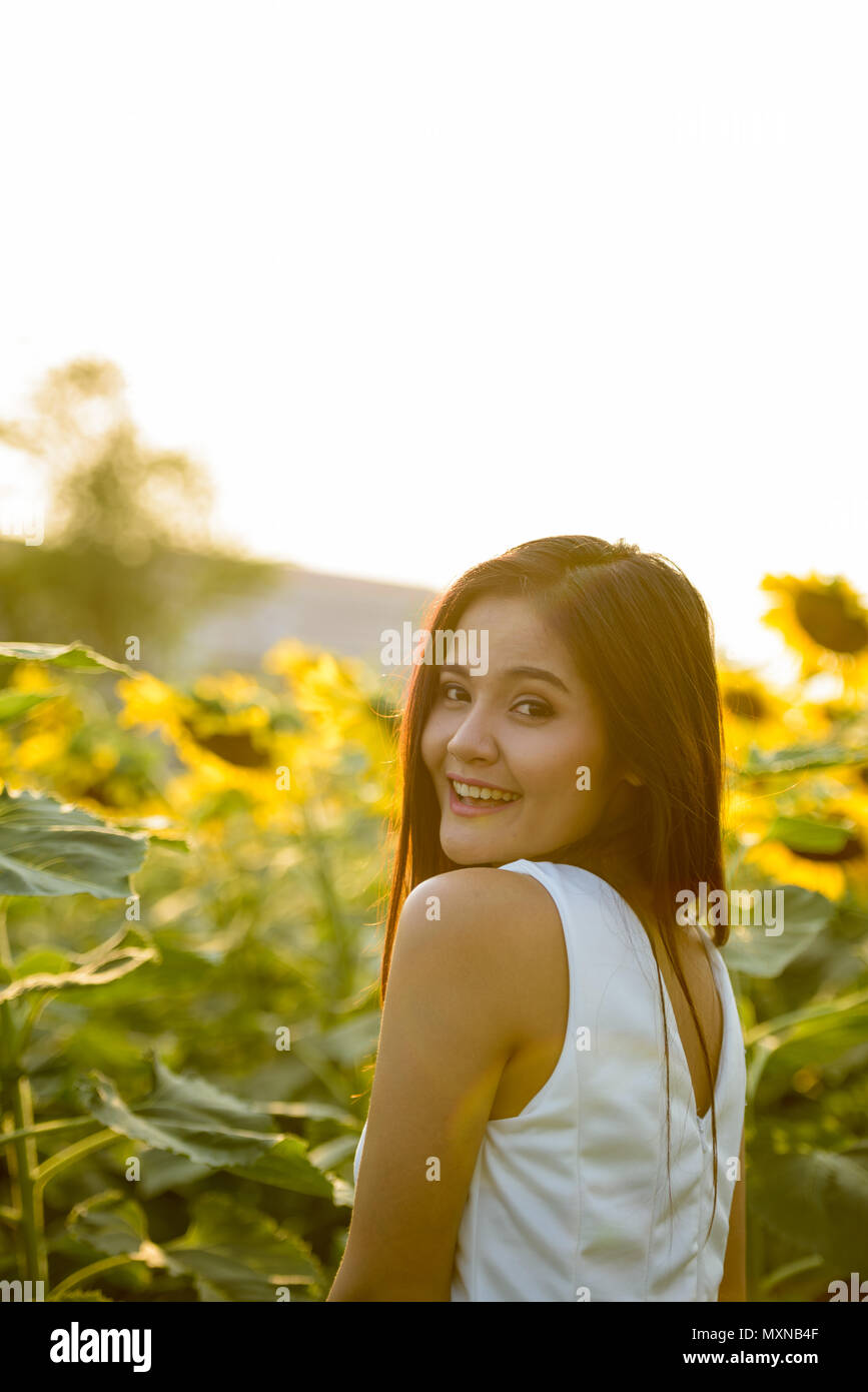 Back of sunflower hi-res stock photography and images - Alamy