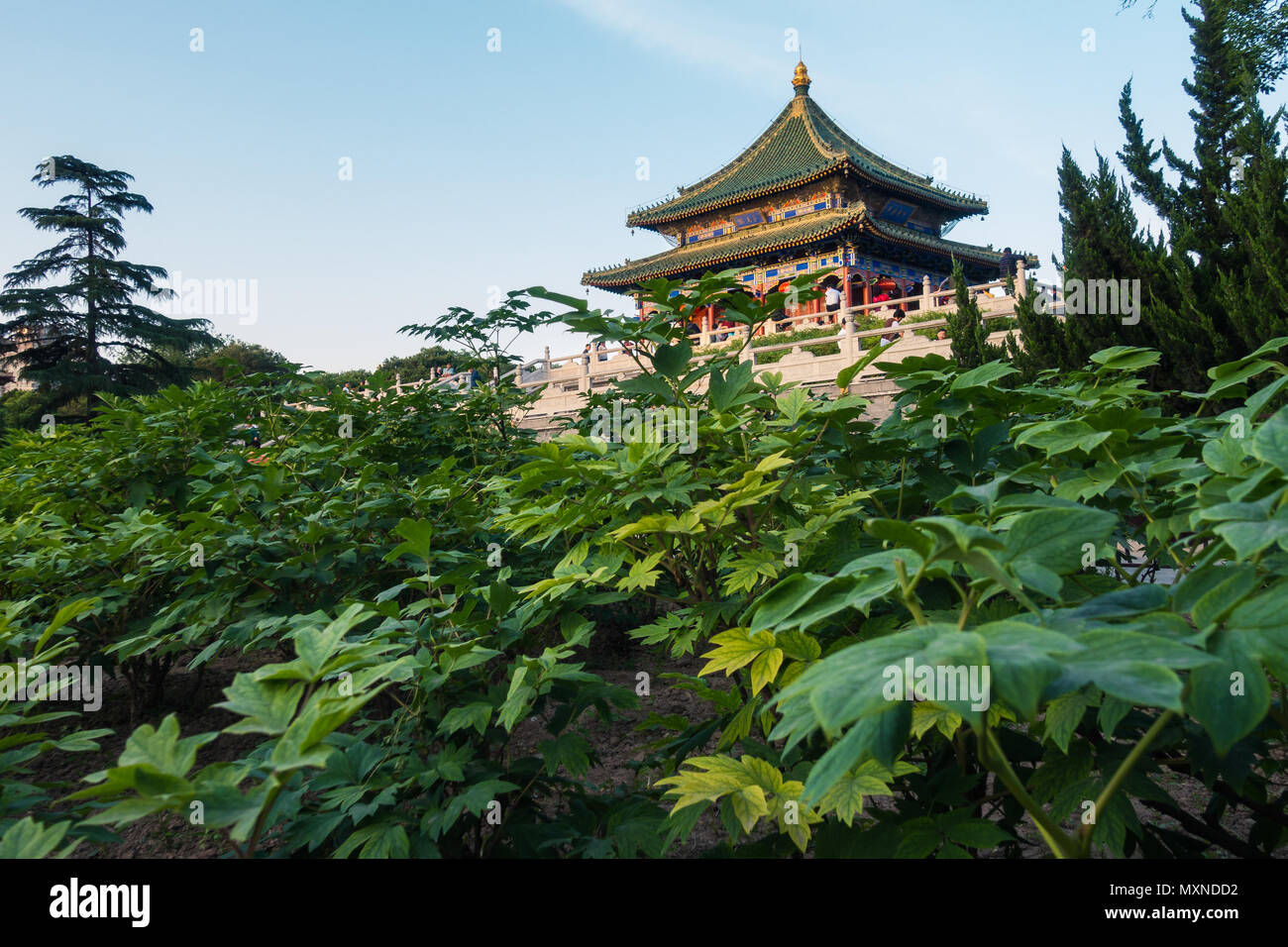 Chen Xiang Ting Building in Chinese Park in Xi'an, China Stock Photo ...