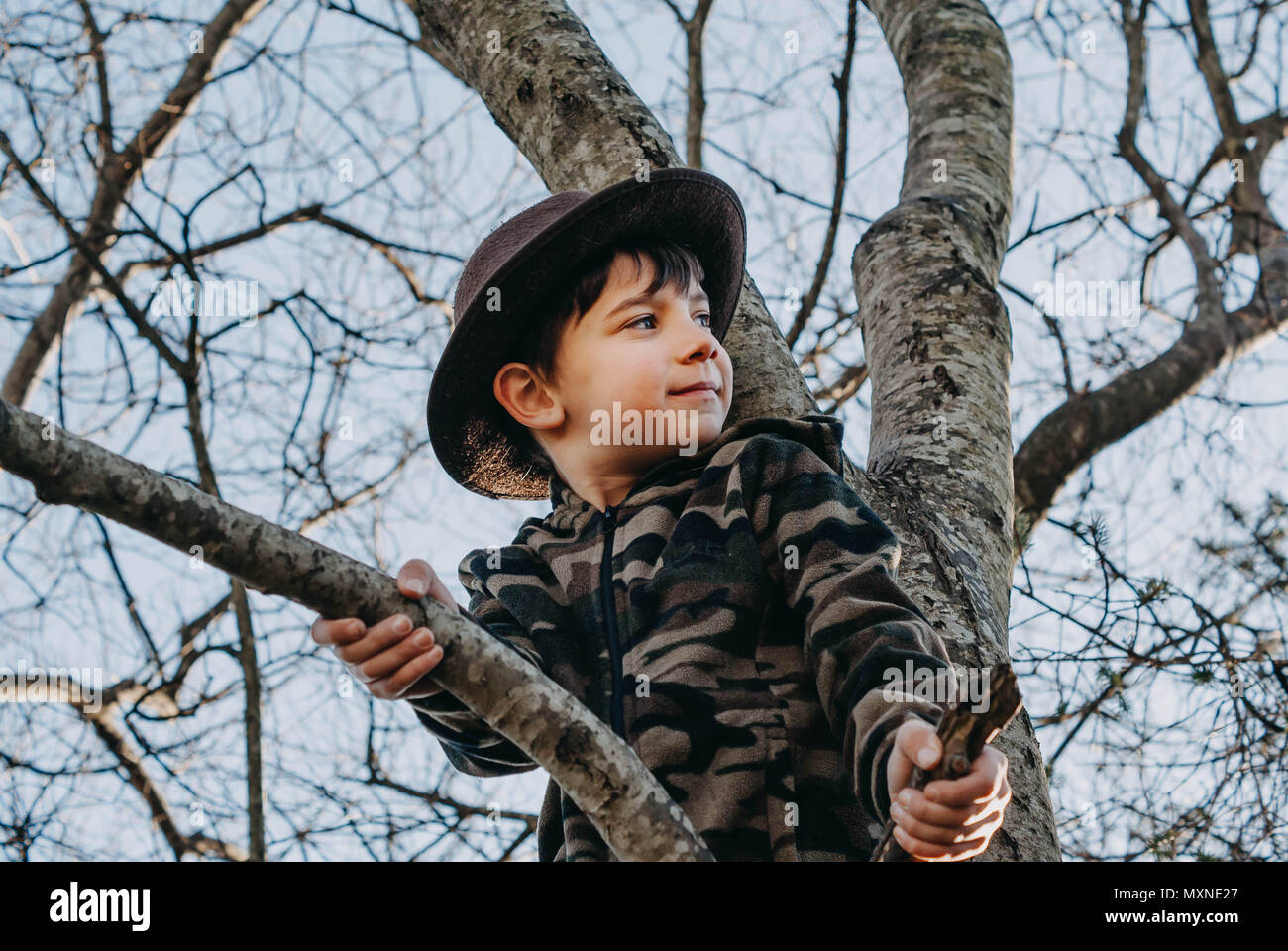 Boy in tree Stock Photo - Alamy