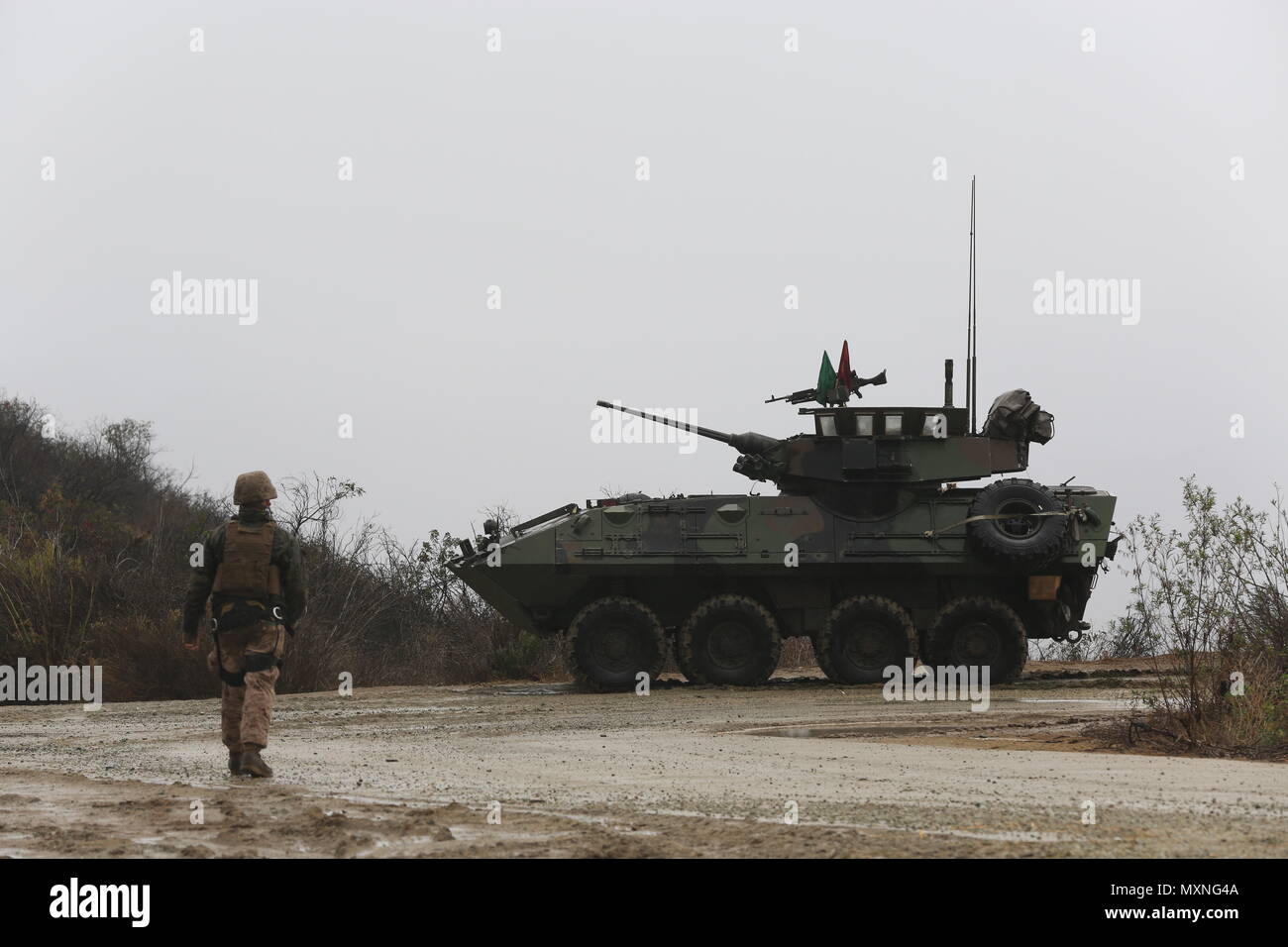 U.S. Marine Cpl. Brendan Willoughby, a light armored vehicle gunner ...