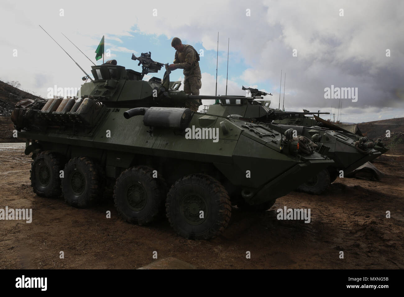 A New Zealand Defense Force soldier with Queen Alexandra’s Mounted ...
