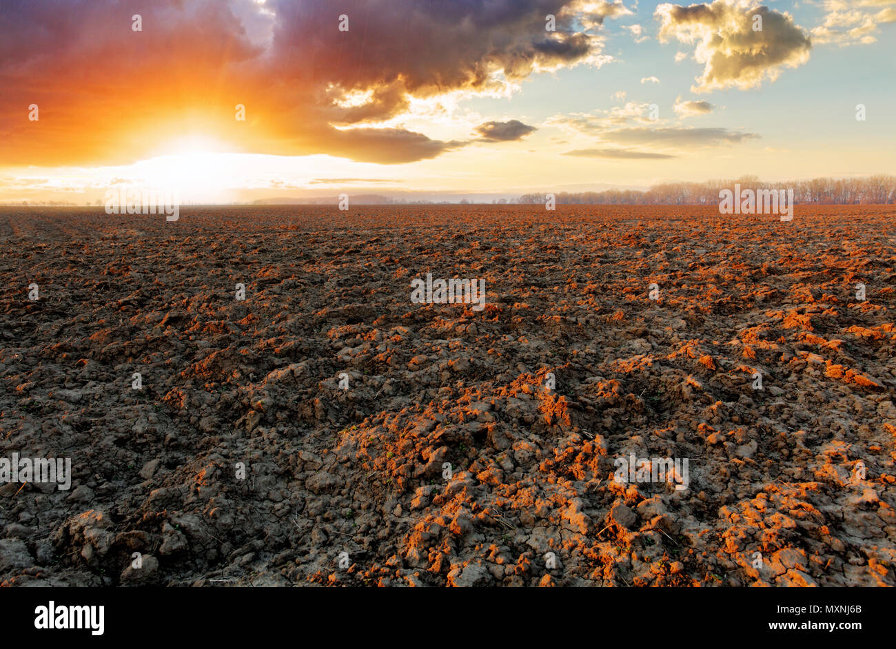 Sunset field plow hi-res stock photography and images - Alamy