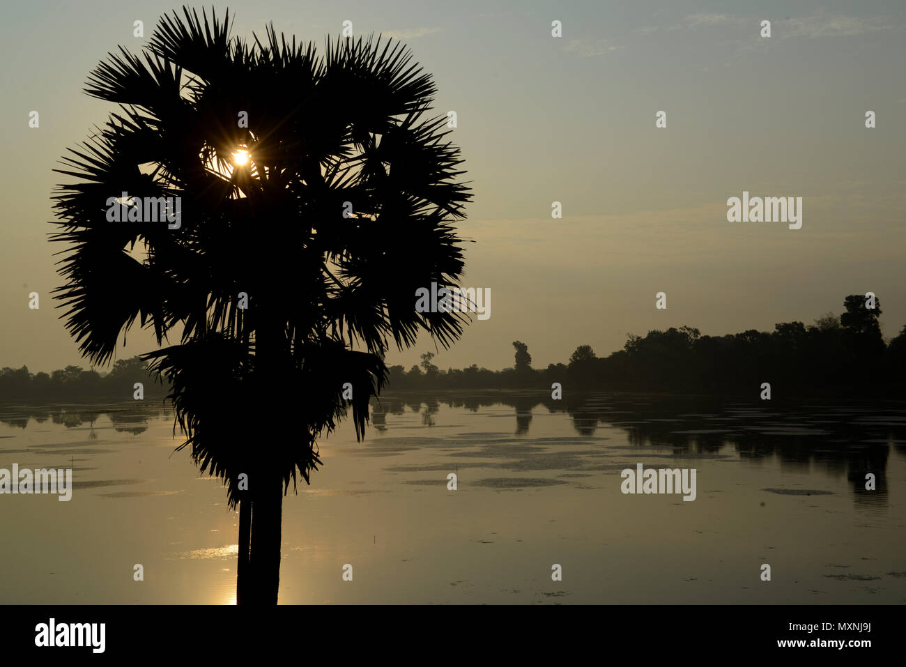 The Temple of Eastern Mebon at the Eastern Barray in the Temple City of ...