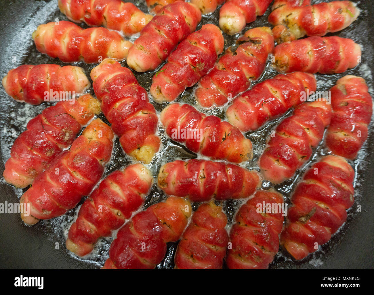 Oxalis tuberosa hi-res stock photography and images - Alamy