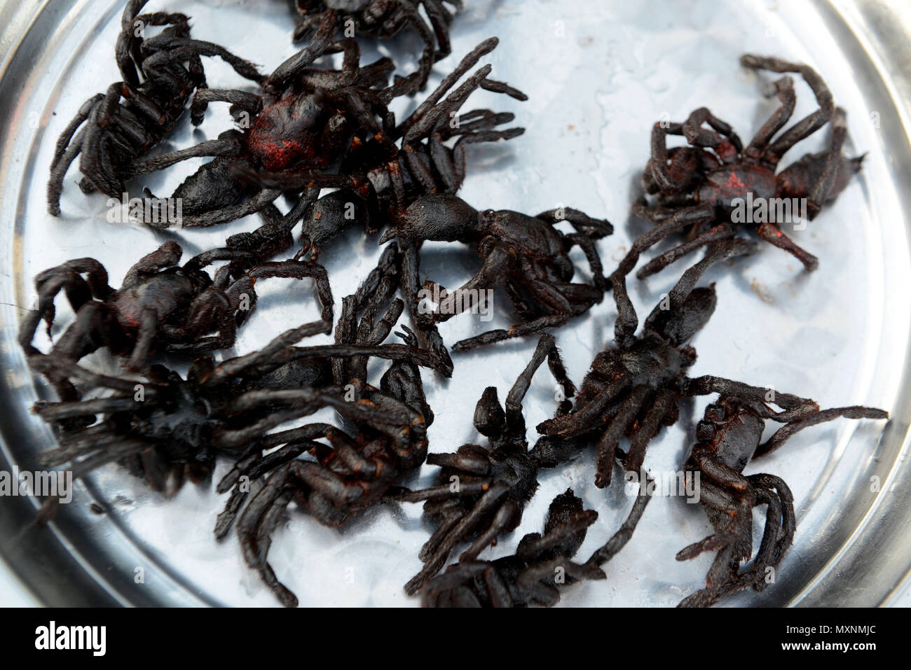 fried Spider at the food market at the Psar Chaa or Old Market in the ...