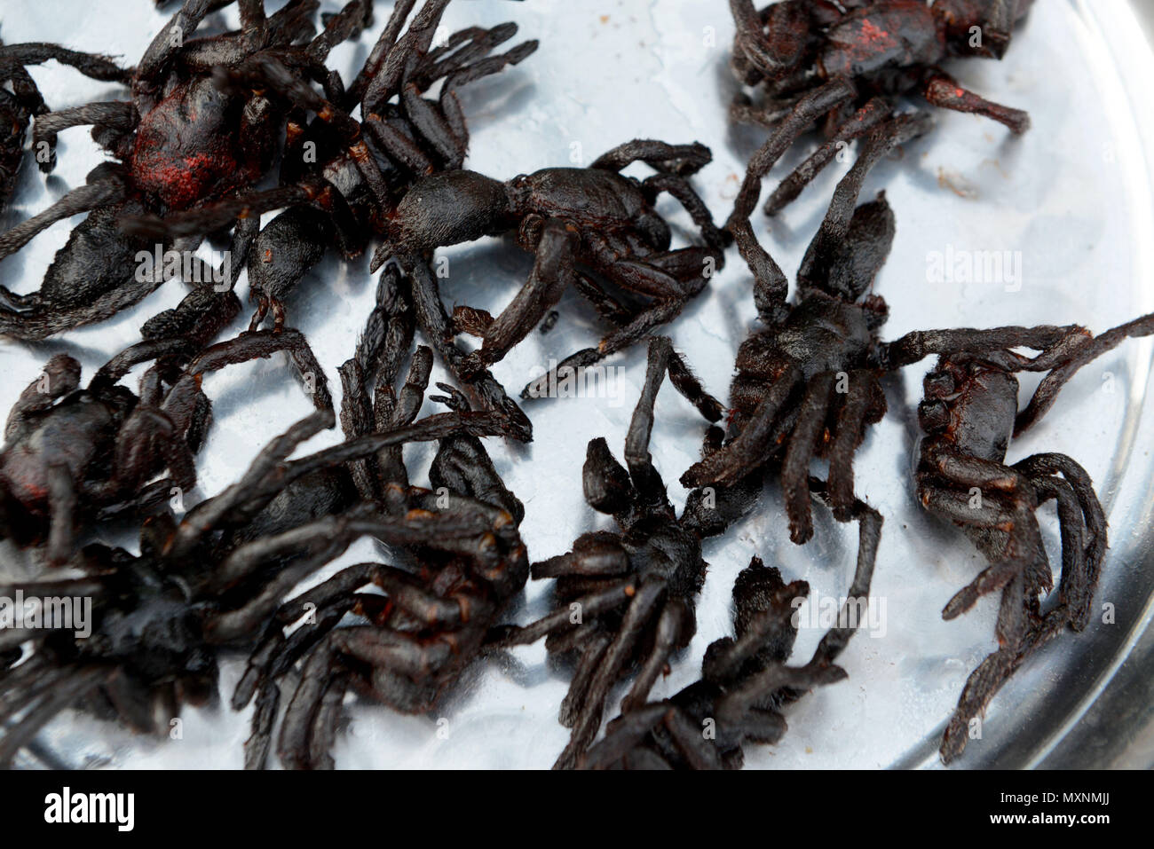 fried Spider at the food market at the Psar Chaa or Old Market in the ...