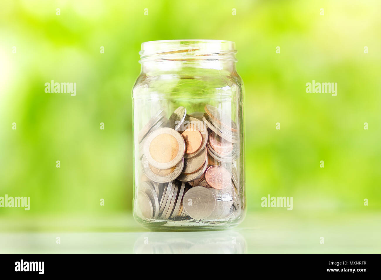 Save money interest Plant Growing In Savings Coins money in the glass ...