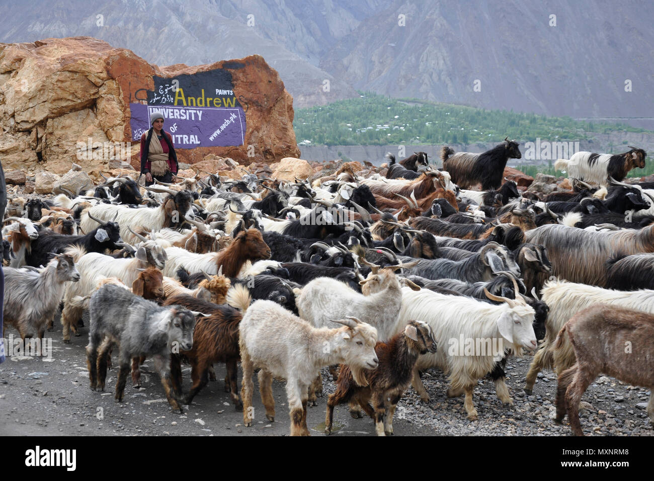 Pakistan, Panjikur plateau Stock Photo - Alamy