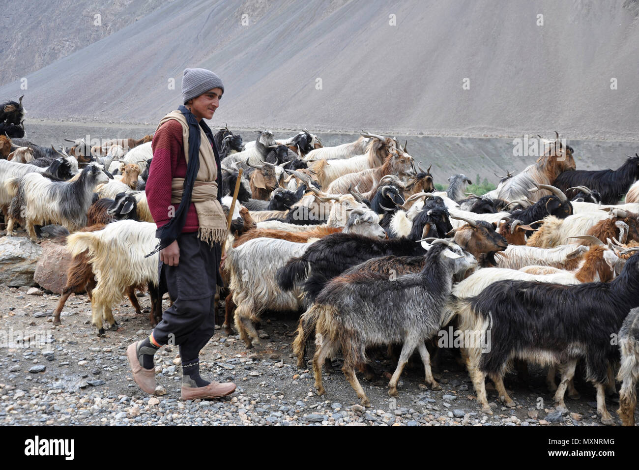 Pakistan, Panjikur plateau Stock Photo - Alamy