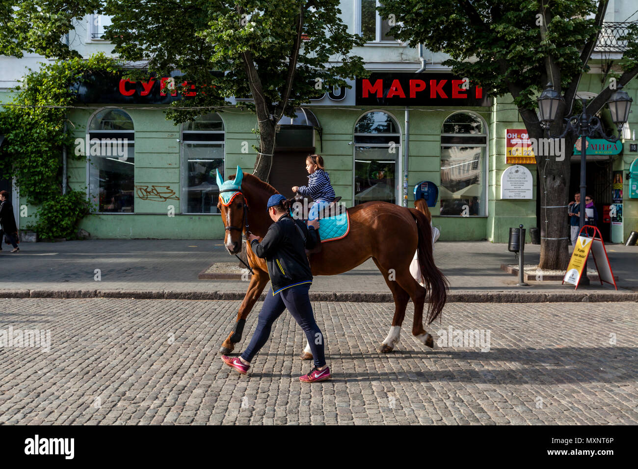 Black ukrainian riding horse hi-res stock photography and images - Alamy