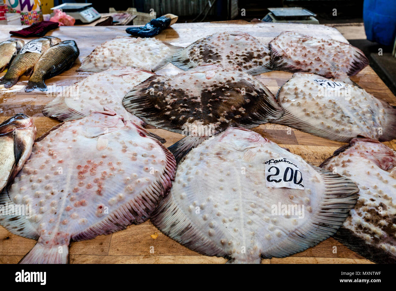 Healthy ukraine hi-res stock photography and images - Alamy