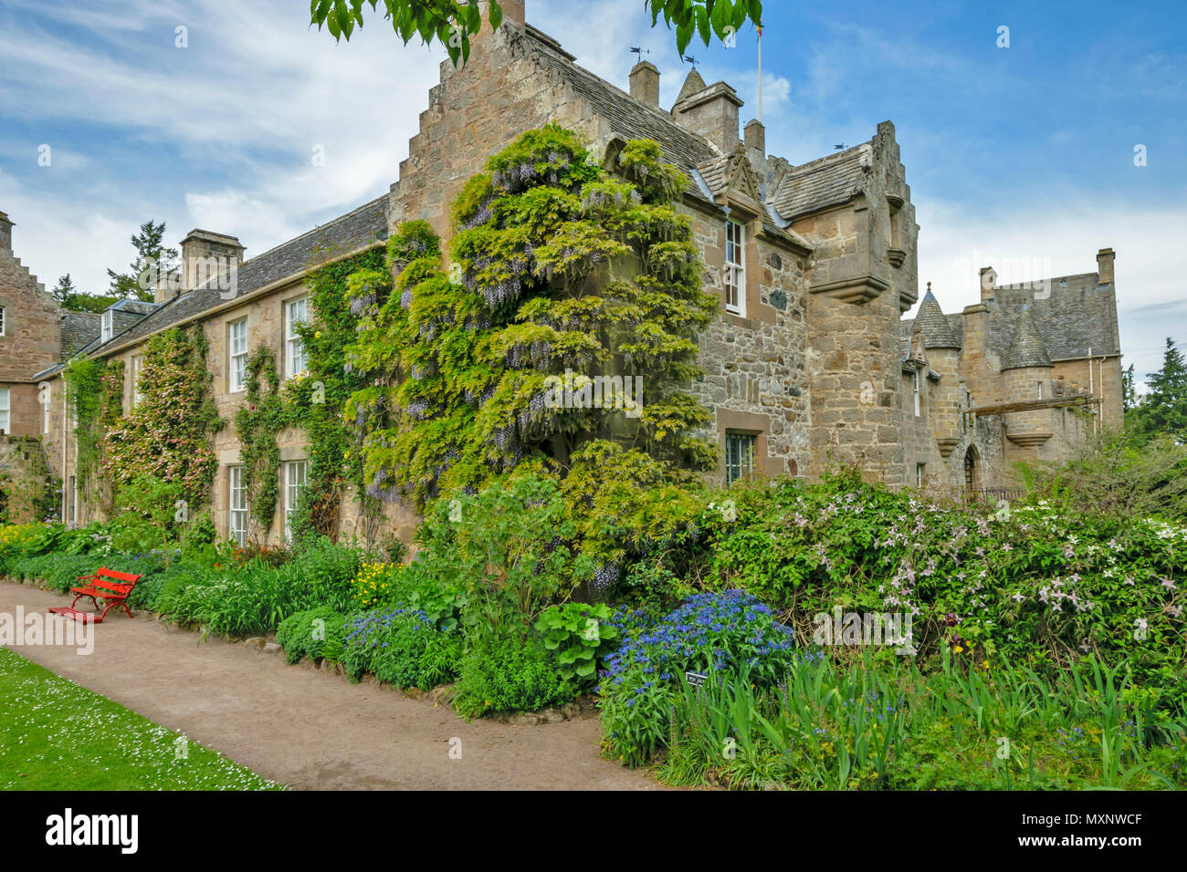 CAWDOR CASTLE NAIRN SCOTLAND CASTLE WALLS WITH WISTERIA AND RED CHAIR ...