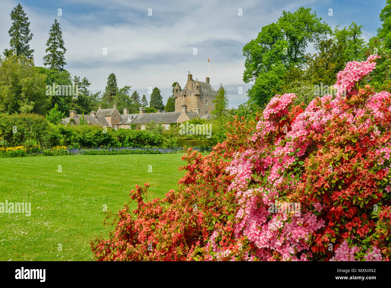 Scottish garden flowers hi-res stock photography and images - Alamy