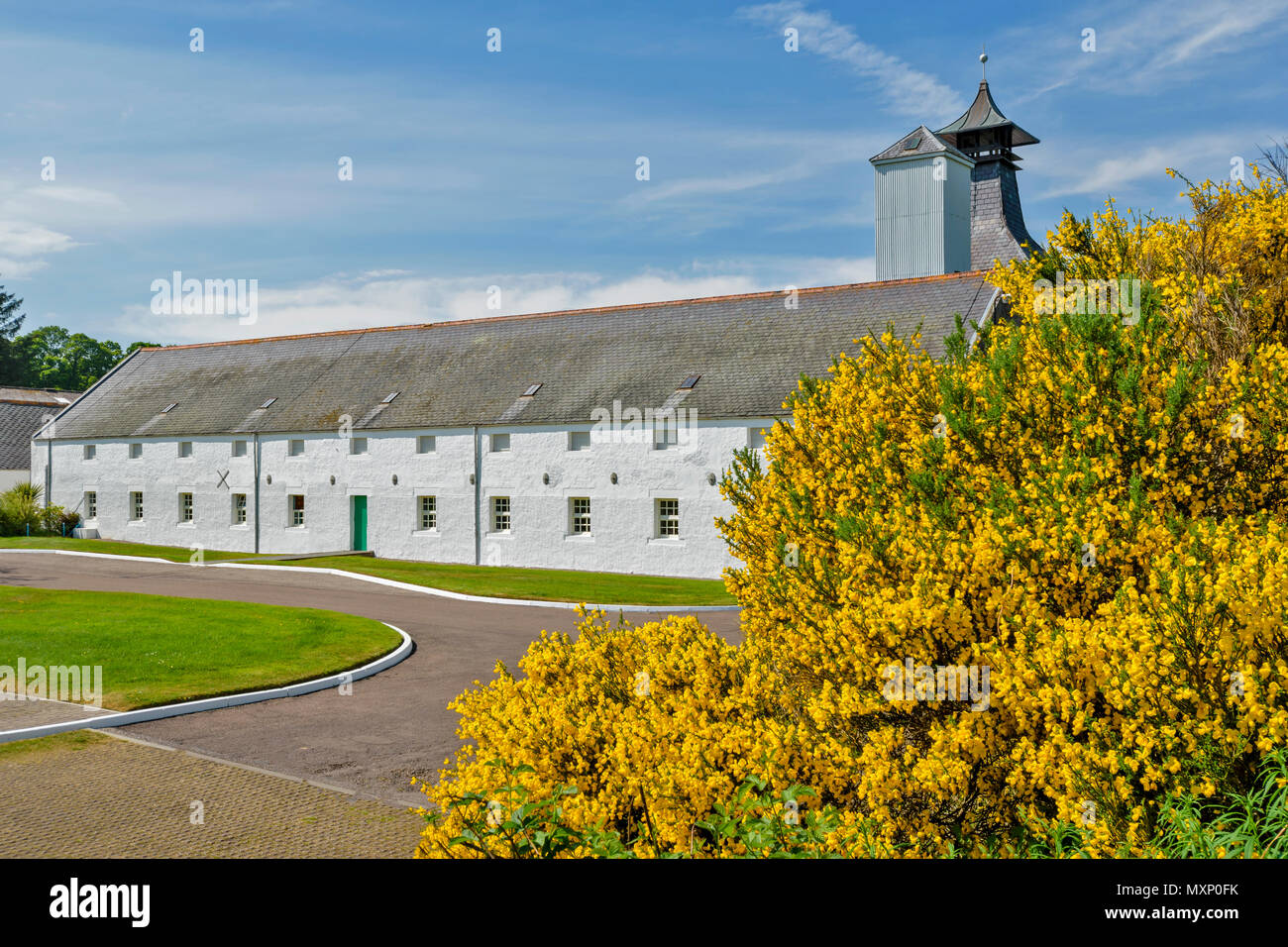 DALLAS DHU MALT WHISKY DISTILLERY FORRES SCOTLAND EXTENSIVE HISTORIC ...