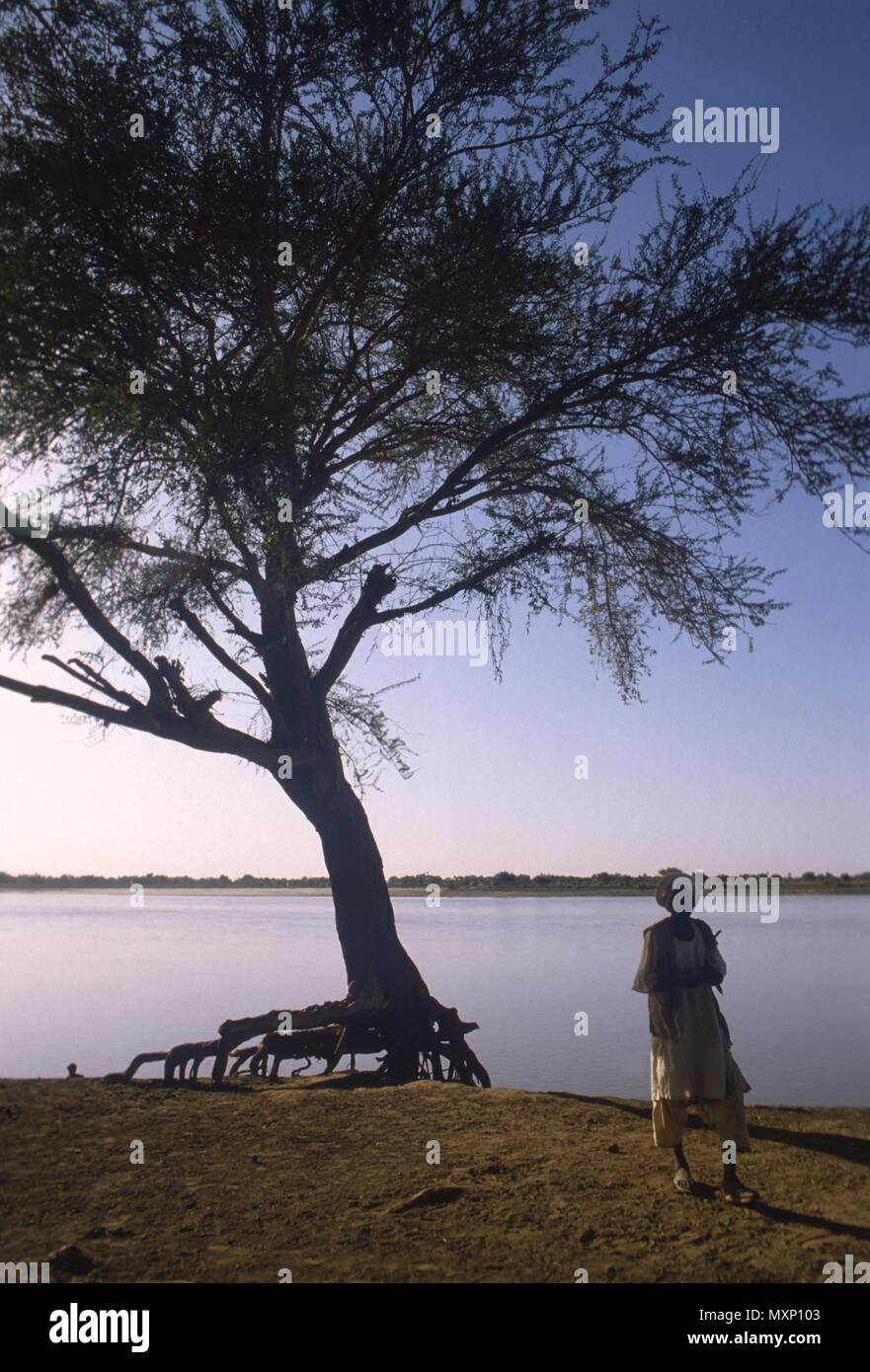 northern Sudan, the river Nile Stock Photo - Alamy
