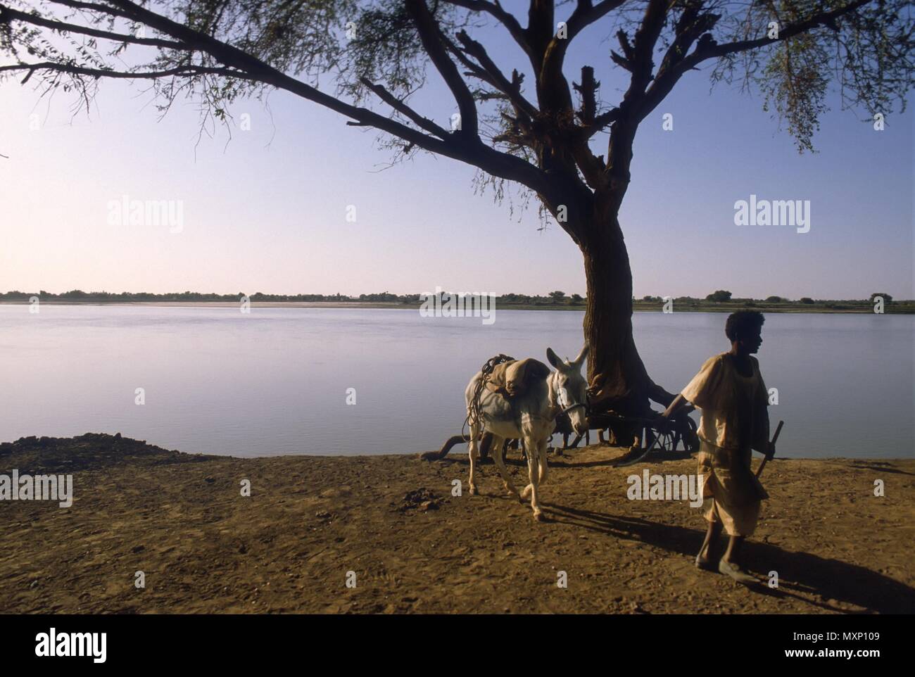 northern Sudan, the river Nile Stock Photo - Alamy