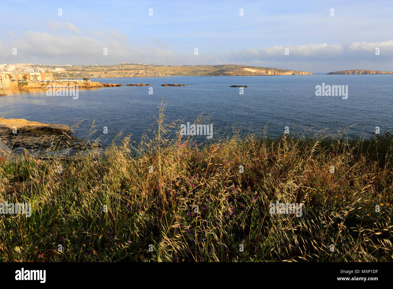 Bugibba bay hi-res stock photography and images - Alamy