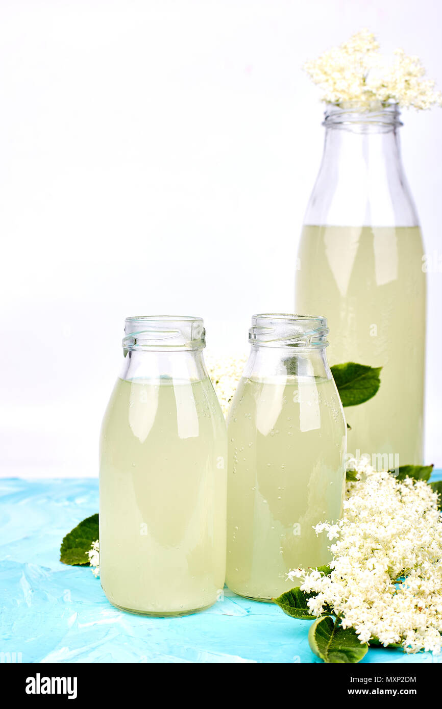 Kombucha tea with elderflower flower on blue background. . Homemade ...