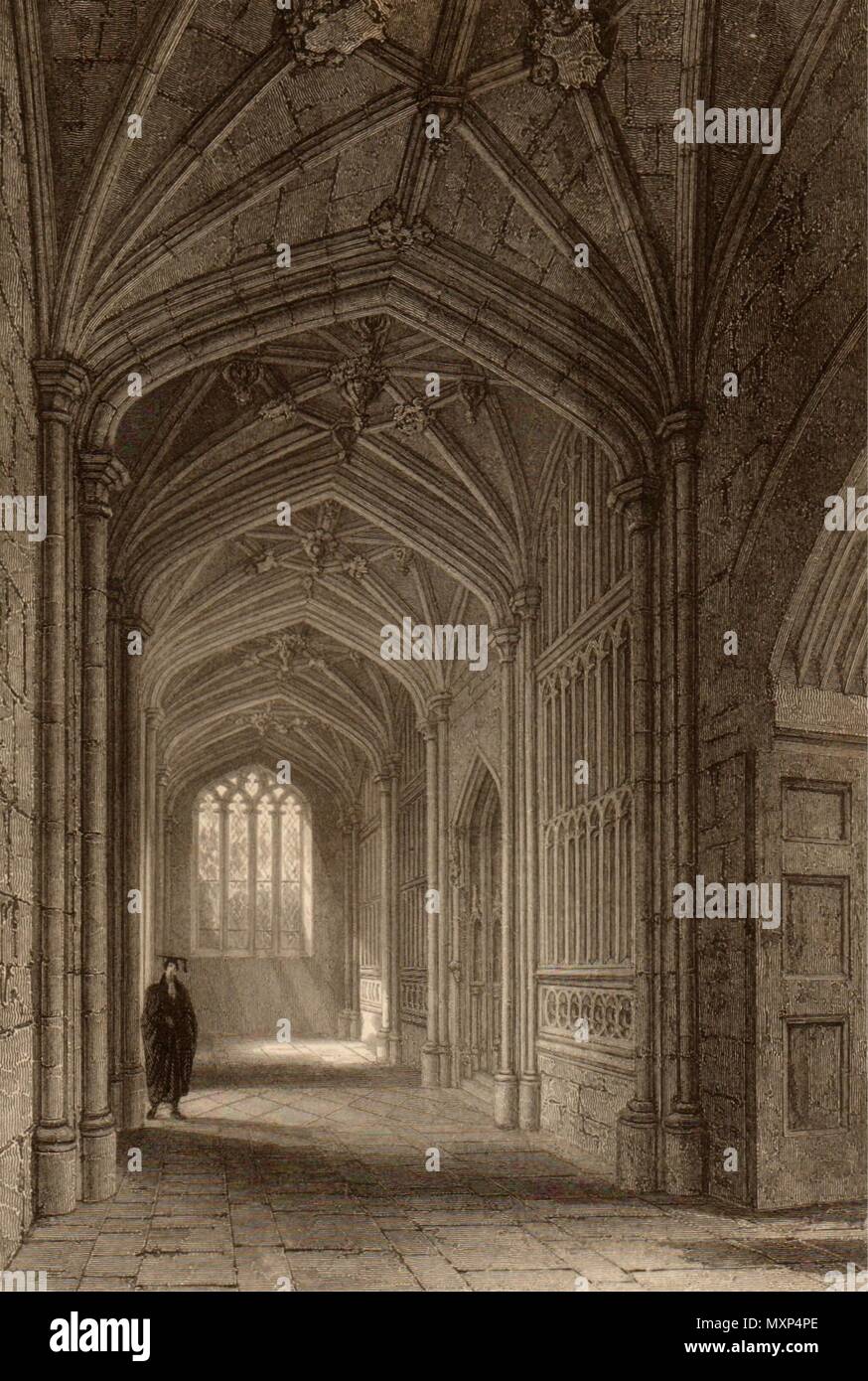 Proscholium hi-res stock photography and images - Alamy