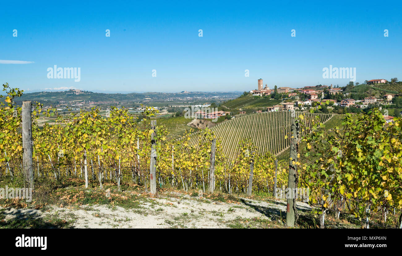 Italy, panorama of vineyards of Piedmont: Langhe-Roero and Monferrato ...