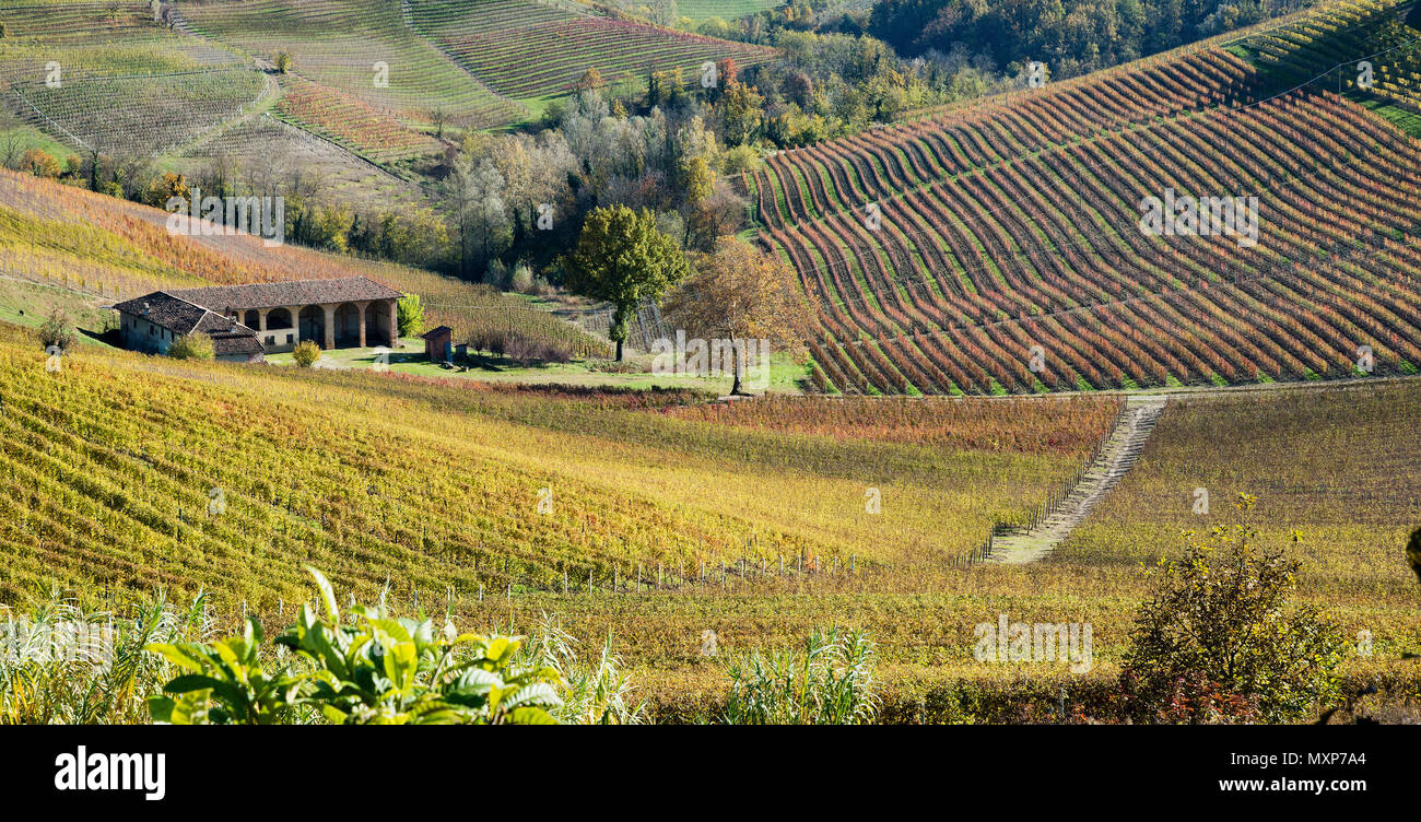 Italy, panorama of vineyards of Piedmont: Langhe-Roero and Monferrato ...