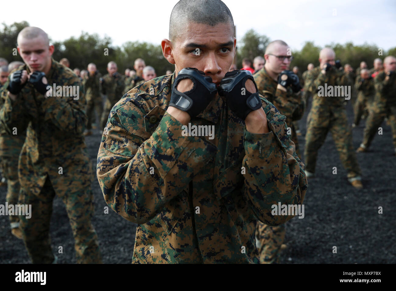 A recruit from Bravo Company, 1st Recruit Training Battalion, assumes a ...